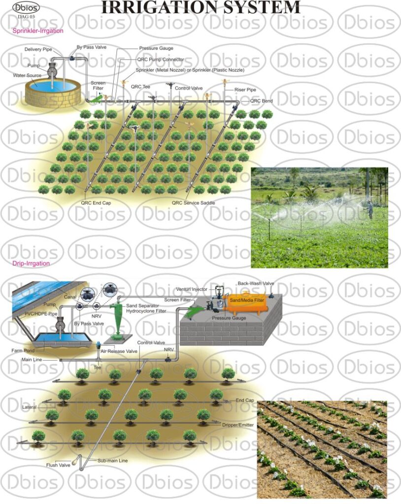 Krishi / Agriculture | Dbios Charts